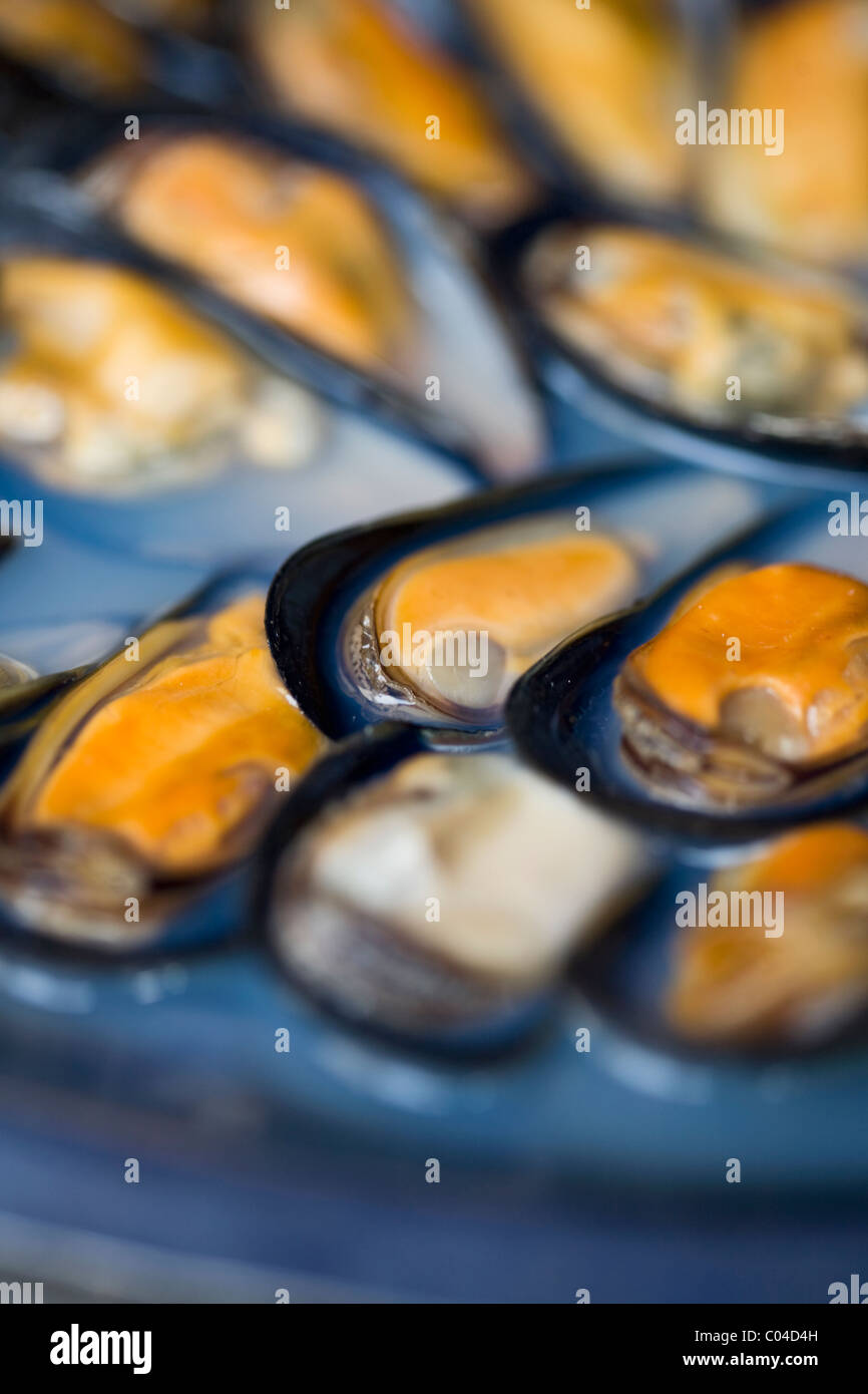 Mussels at a restaurant in Libourne, France Stock Photo - Alamy
