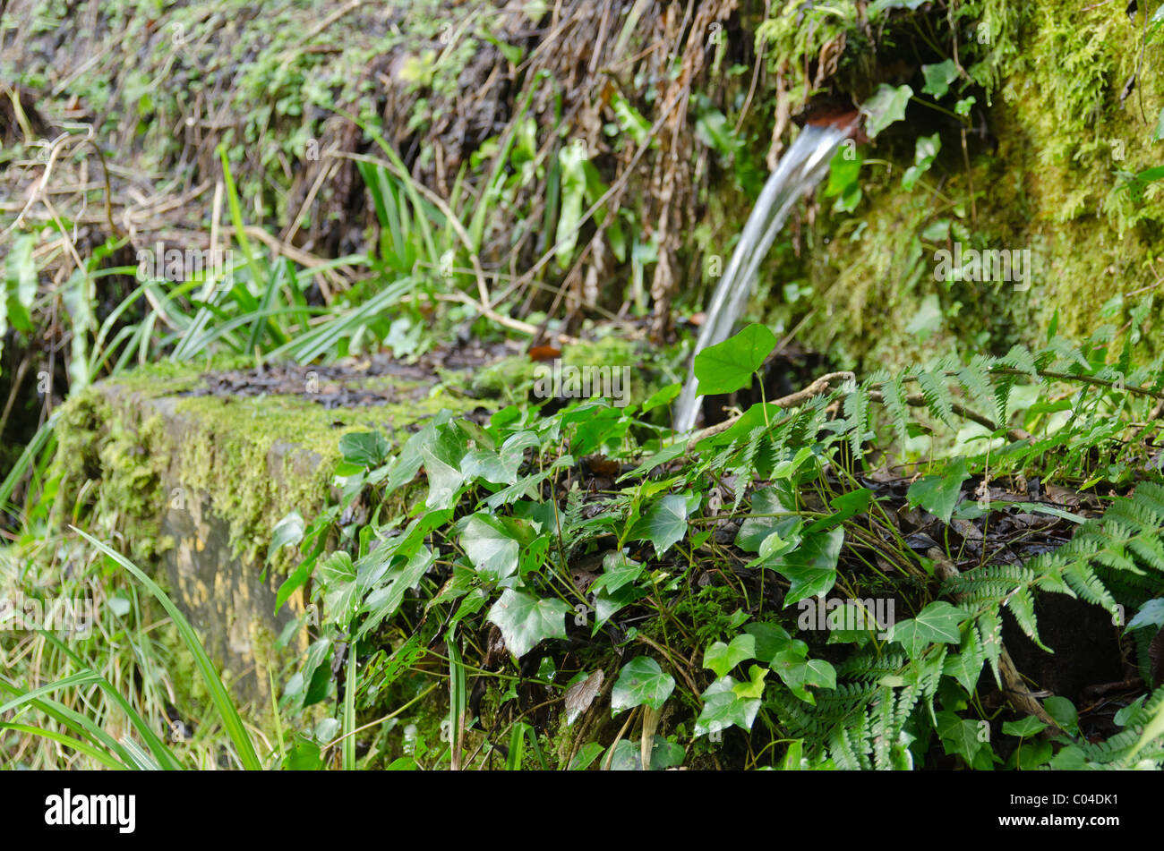 Spring water fountain hi-res stock photography and images - Alamy