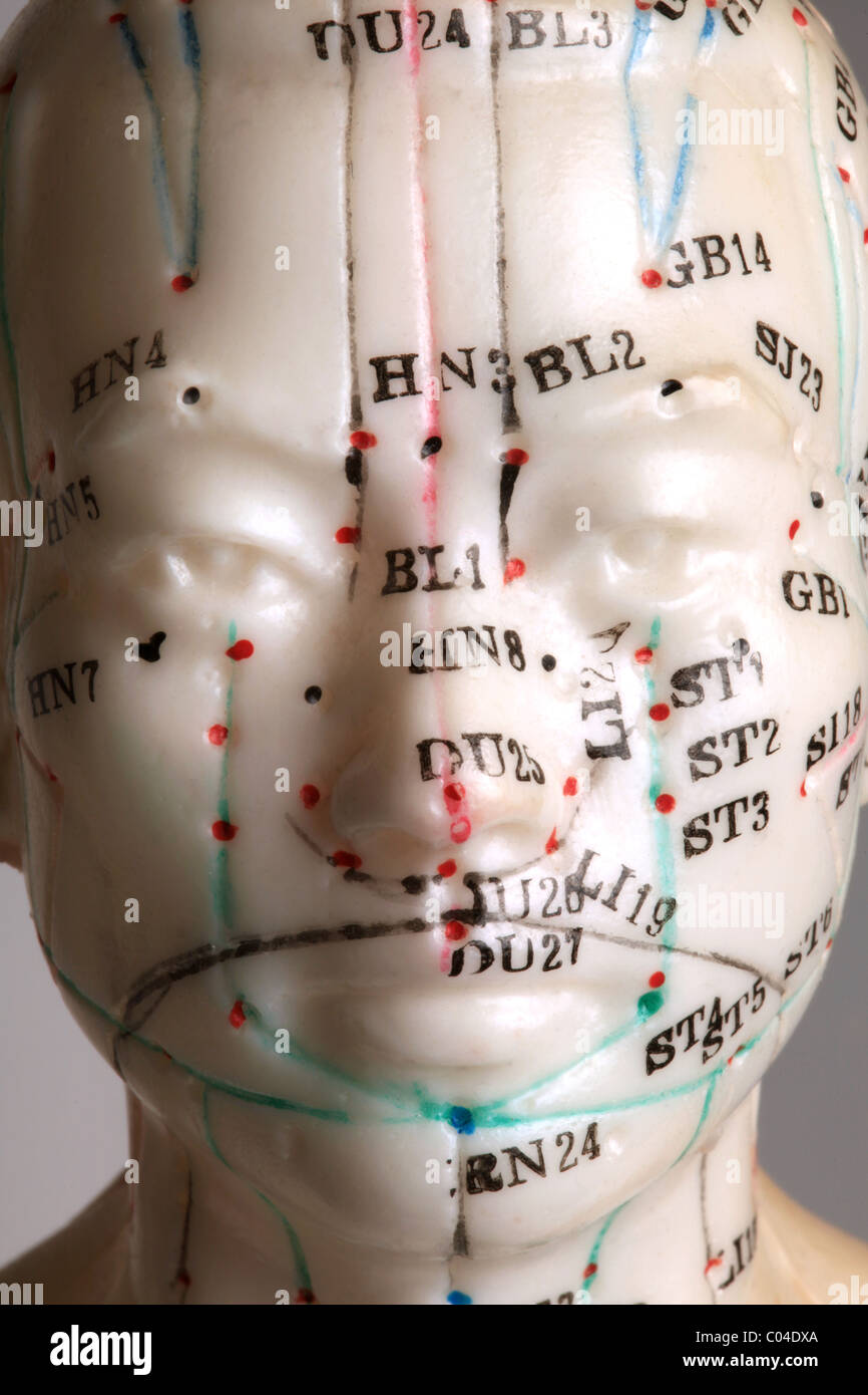 Acupuncture model hi-res stock photography and images - Alamy