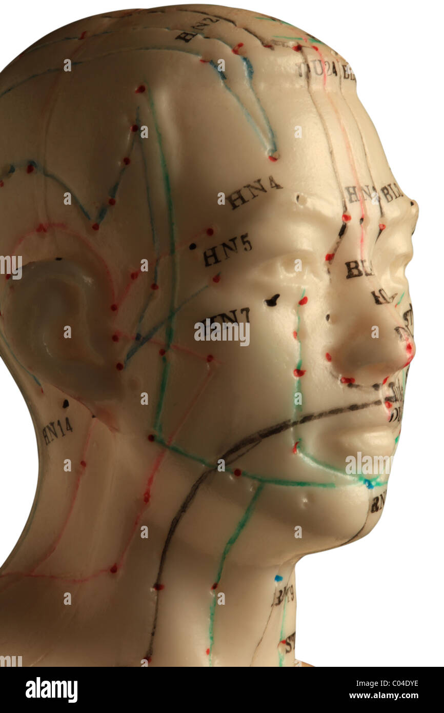 Acupuncture Model Stock Photos & Acupuncture Model Stock Images - Alamy