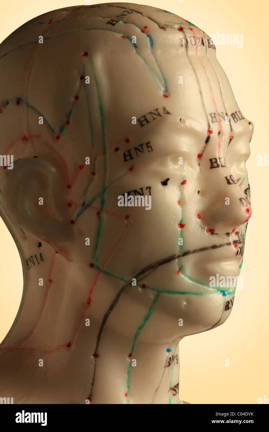 Acupuncture model hi-res stock photography and images - Alamy