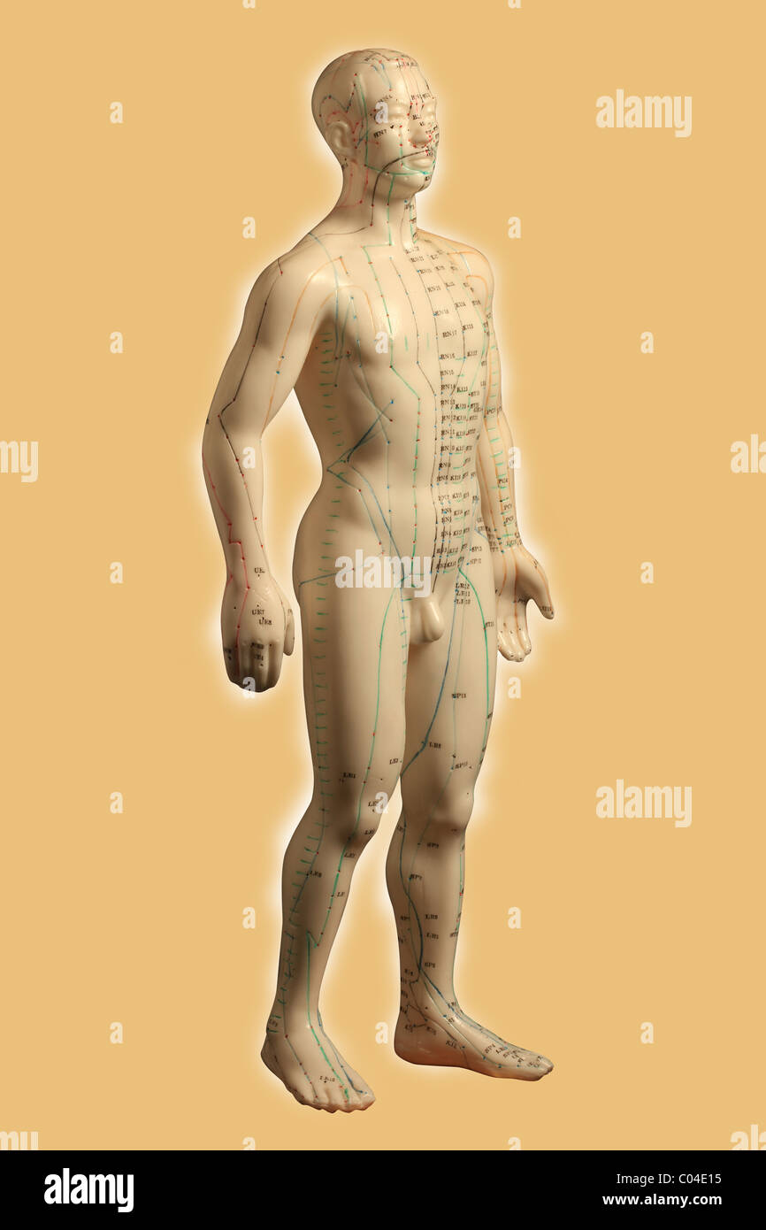 Acupuncture figure hi-res stock photography and images - Alamy
