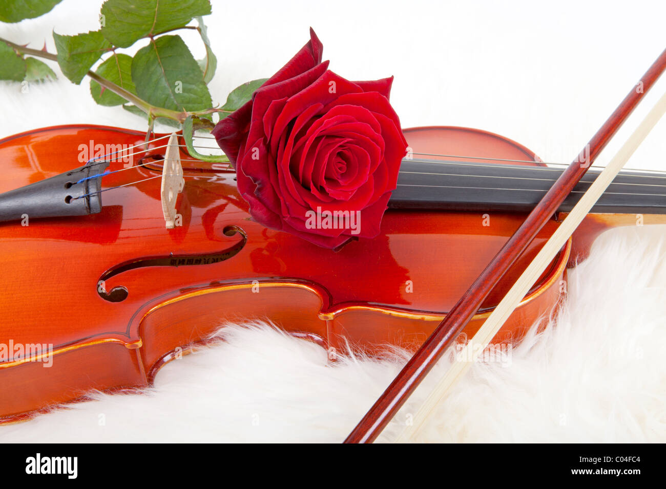 violin and red rose isolated on white background Stock Photo - Alamy