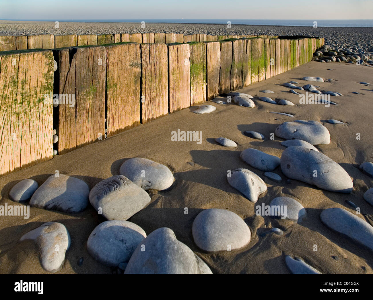 Wood groin hi-res stock photography and images - Alamy