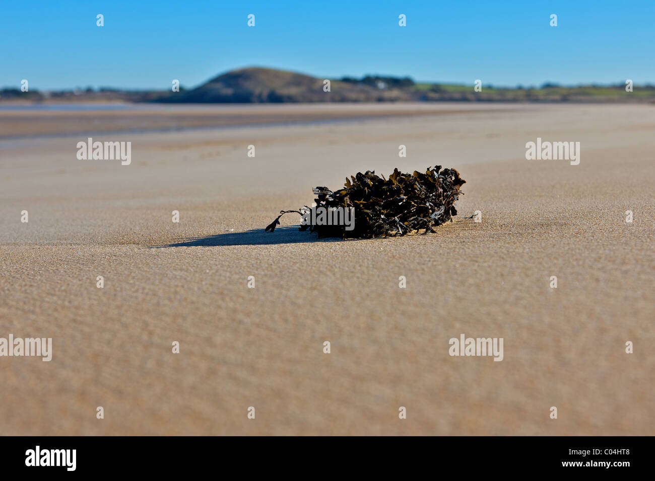 Butter hole cornwall hi-res stock photography and images - Alamy