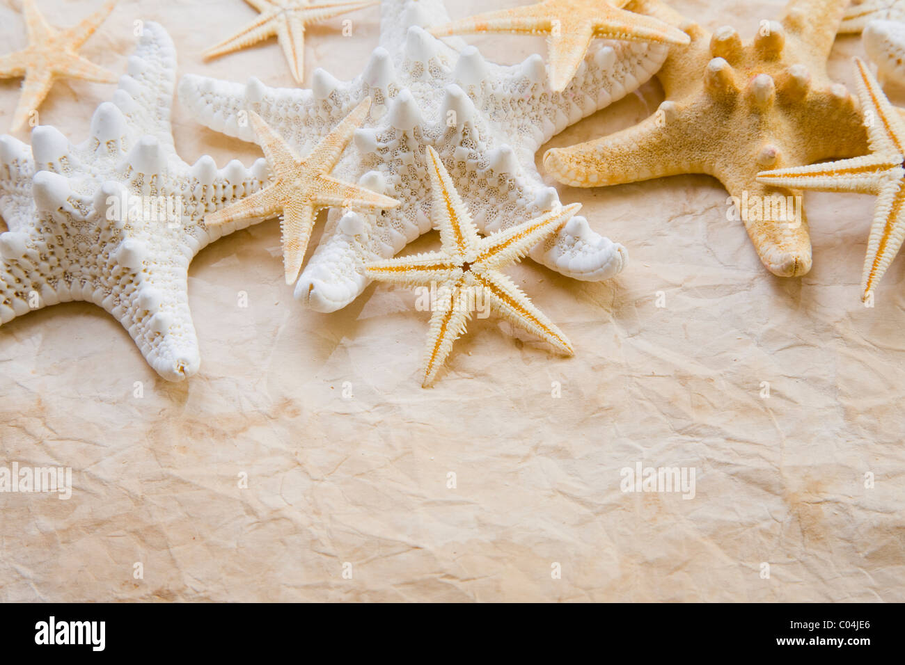 Background made up of starfish and old paper Stock Photo - Alamy