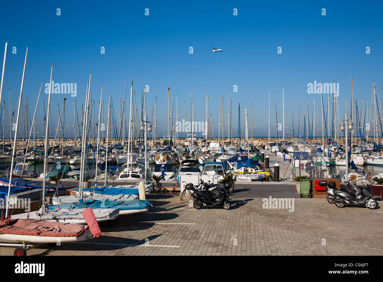Tel aviv marina hi-res stock photography and images - Alamy