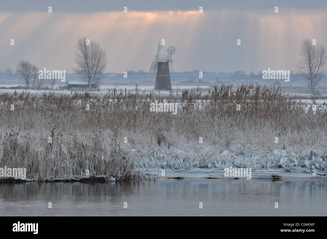 Hardley drainage mill Norfolk Broads seen from Cantley Stock Photo - Alamy