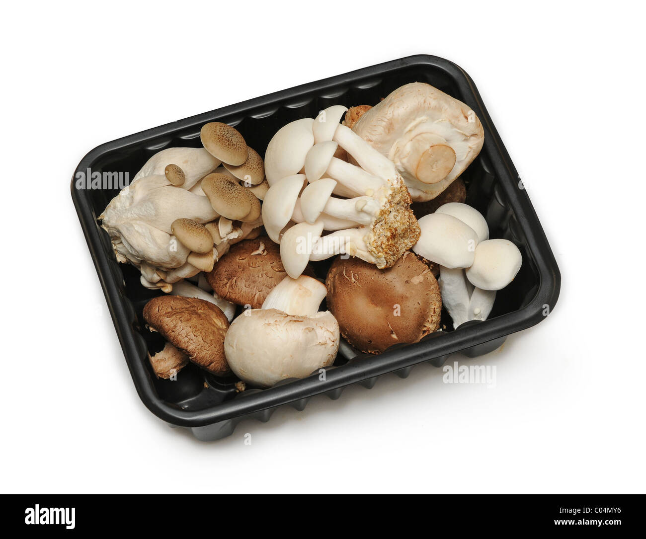 A variety of edible mushrooms in a box on a white background Stock ...