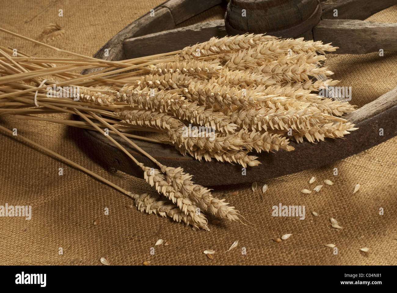 Wheat kernel hi-res stock photography and images - Alamy