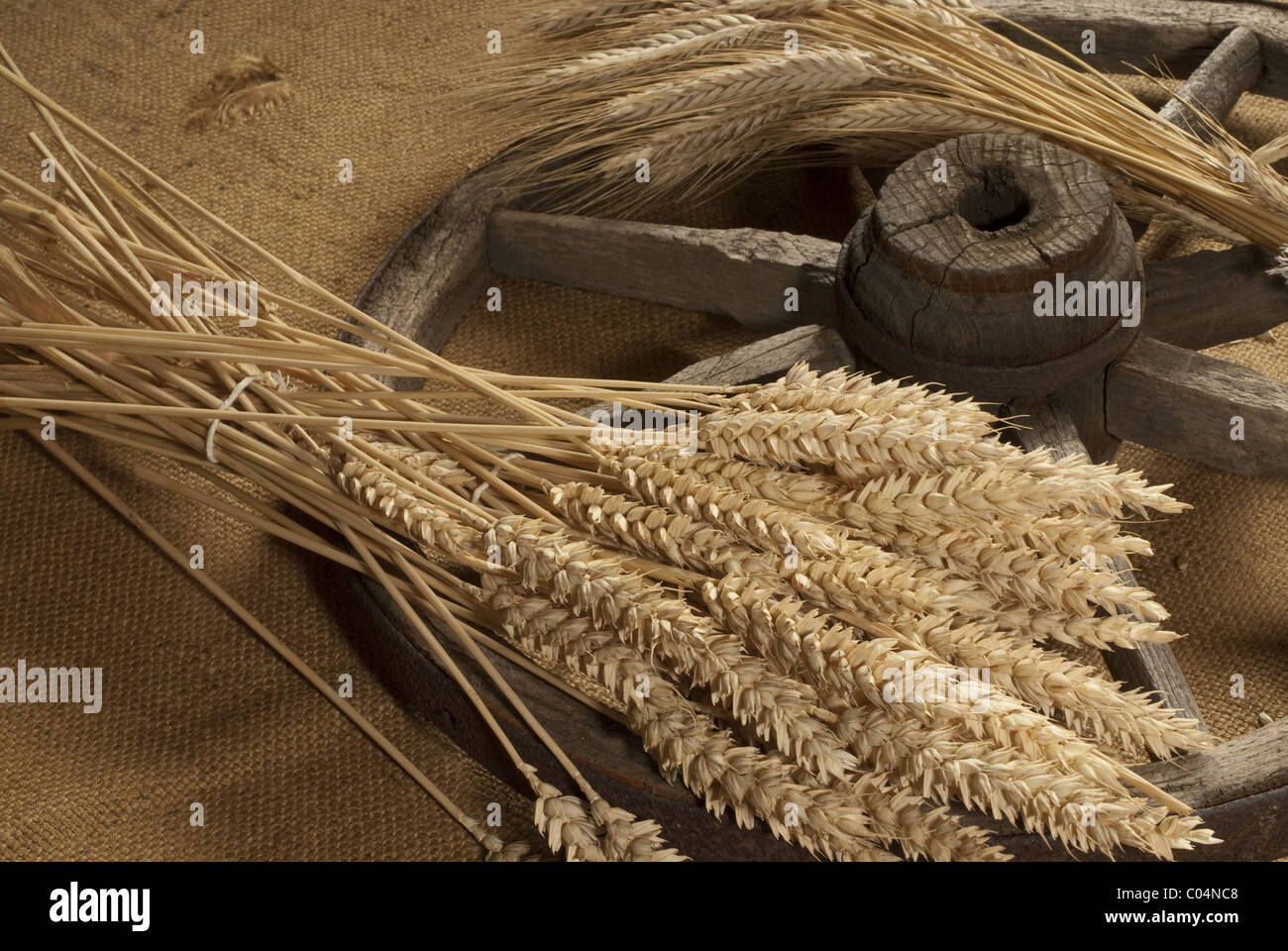 Wheat kernel hi-res stock photography and images - Alamy