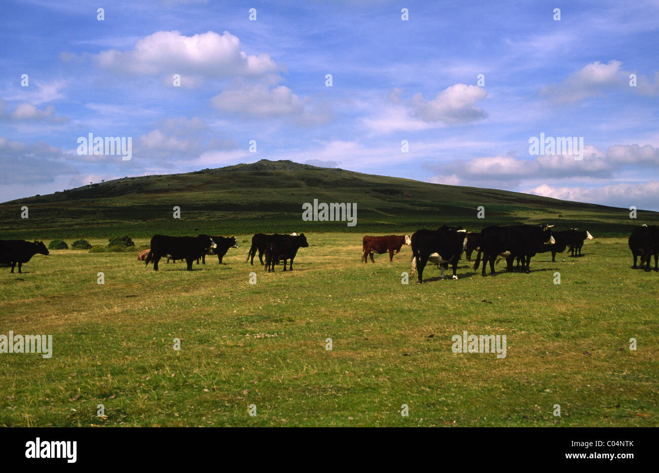 Cox_tor hi-res stock photography and images - Alamy