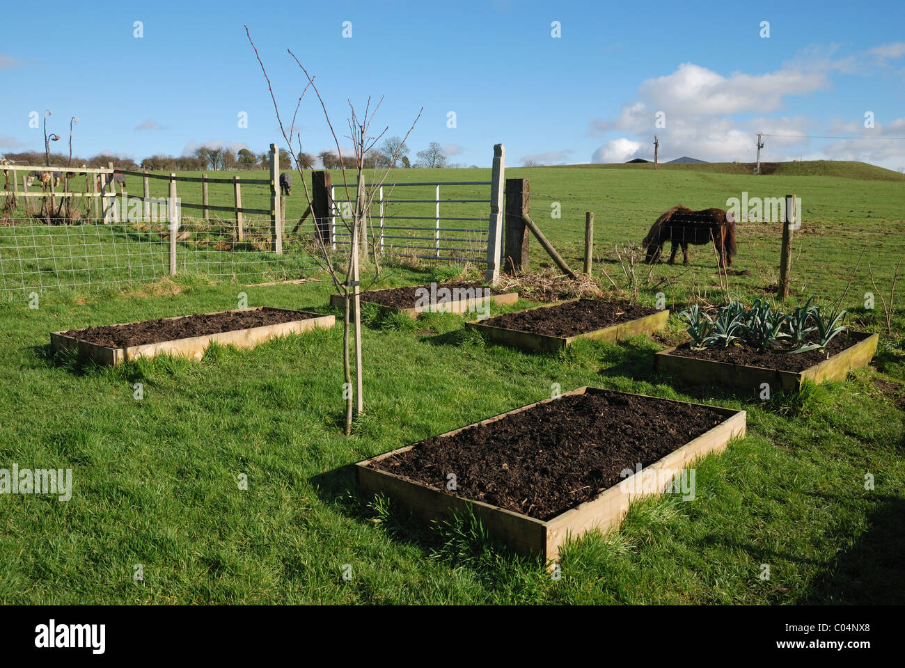 Vegetable plot plots hi-res stock photography and images - Alamy