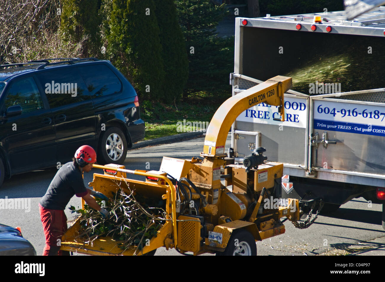 Gardener using wood chipper Stock Photo - Alamy