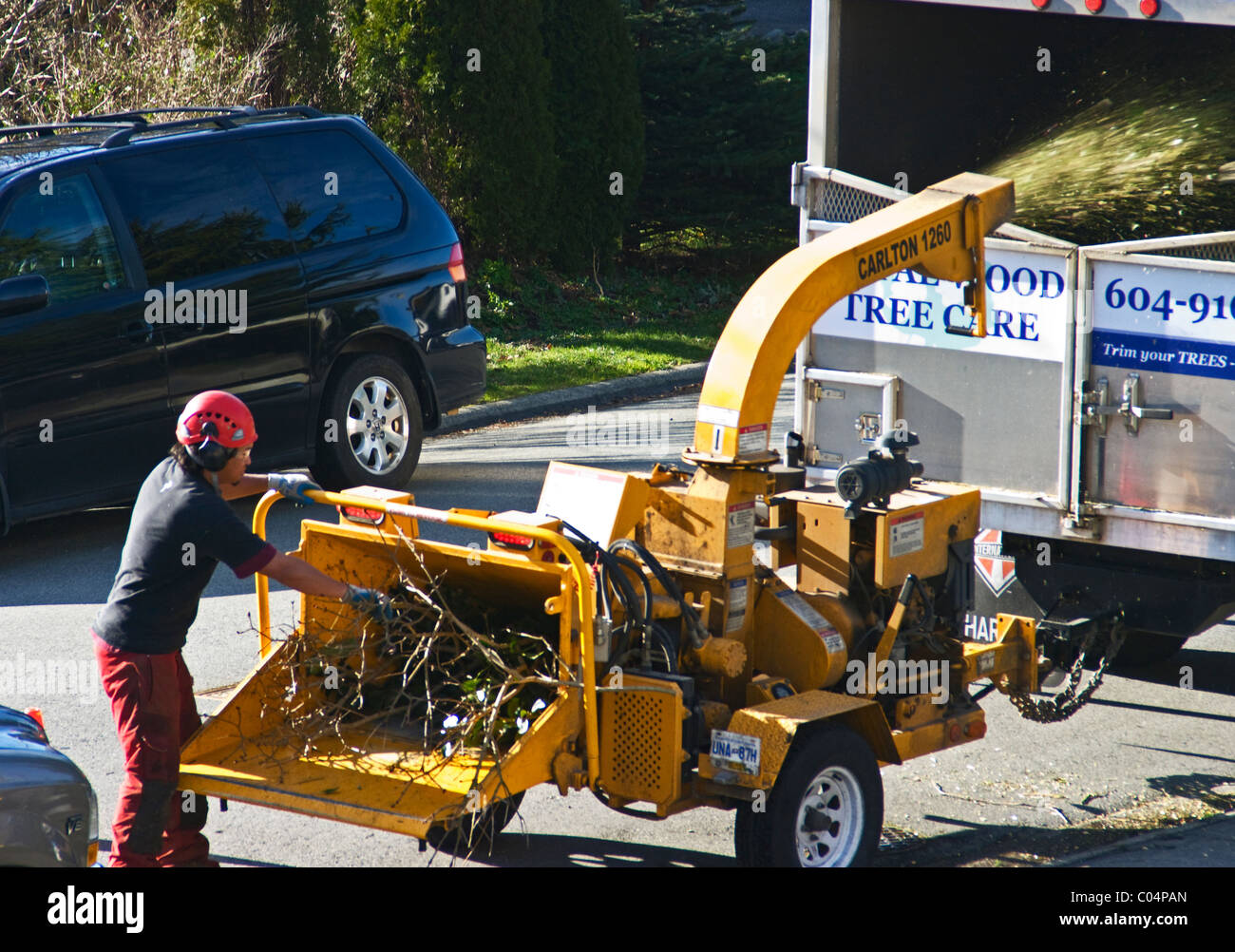 Gardener using wood chipper Stock Photo - Alamy