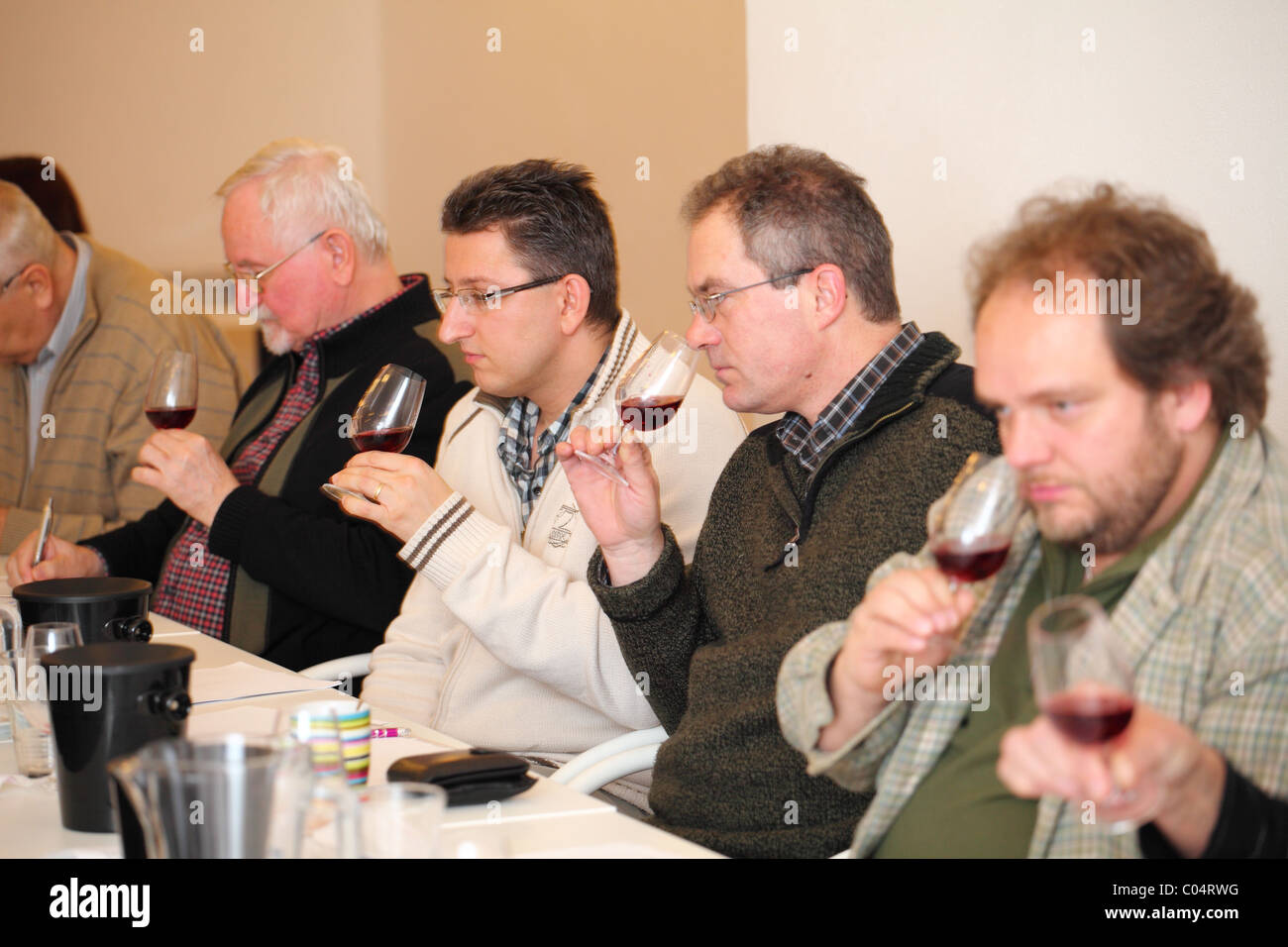 The adult students of "Wine Wave School"(Slovakia) tasting and smelling ...