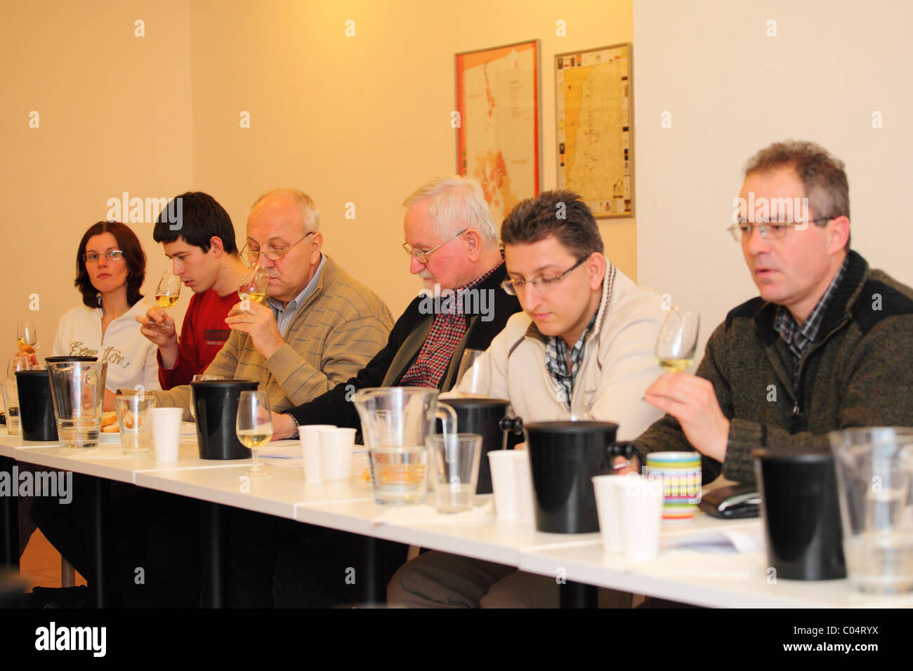 The adult students of "Wine Wave School"(Slovakia) tasting and smelling ...
