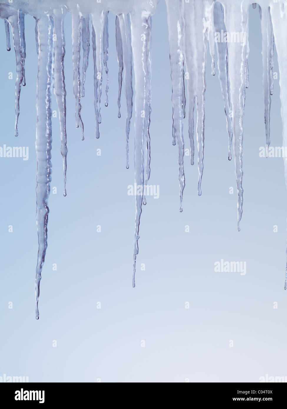 Melting icicles isolated on light blue background Stock Photo - Alamy
