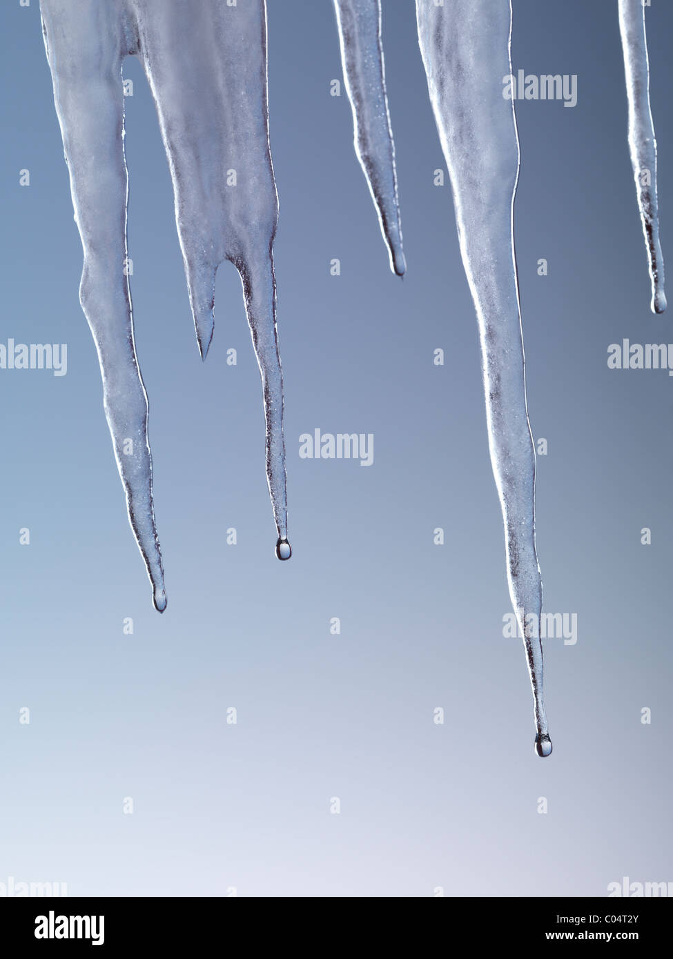 Melting icicles isolated on light blue background Stock Photo - Alamy