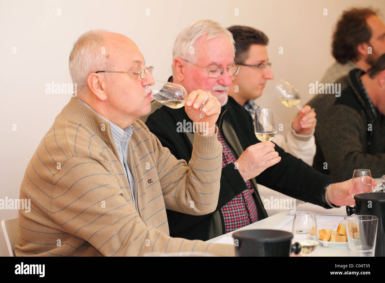 The adult students of "Wine Wave School"(Slovakia) tasting and smelling ...