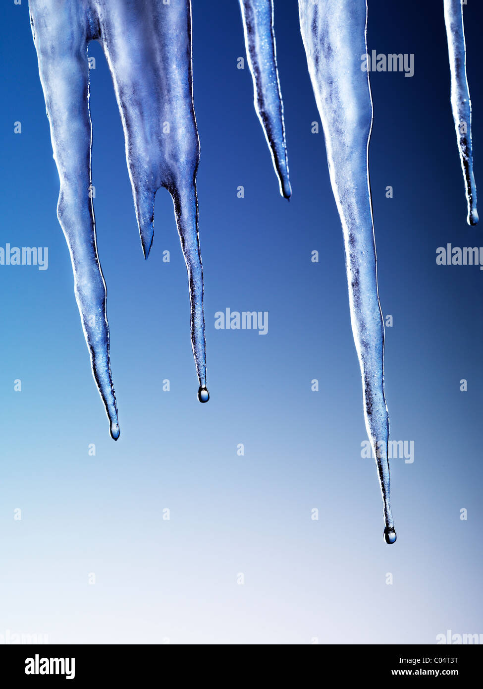 Melting icicles isolated on blue background Stock Photo - Alamy