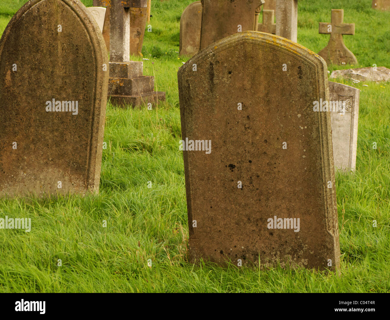 grave stone stand in a cemetery Stock Photo - Alamy