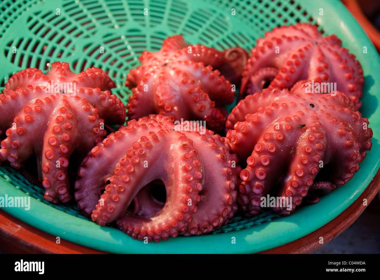 Five red octopi for sale Stock Photo - Alamy