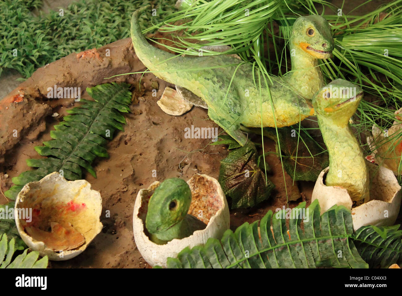 Baby dinosaur and egg hi-res stock photography and images - Alamy