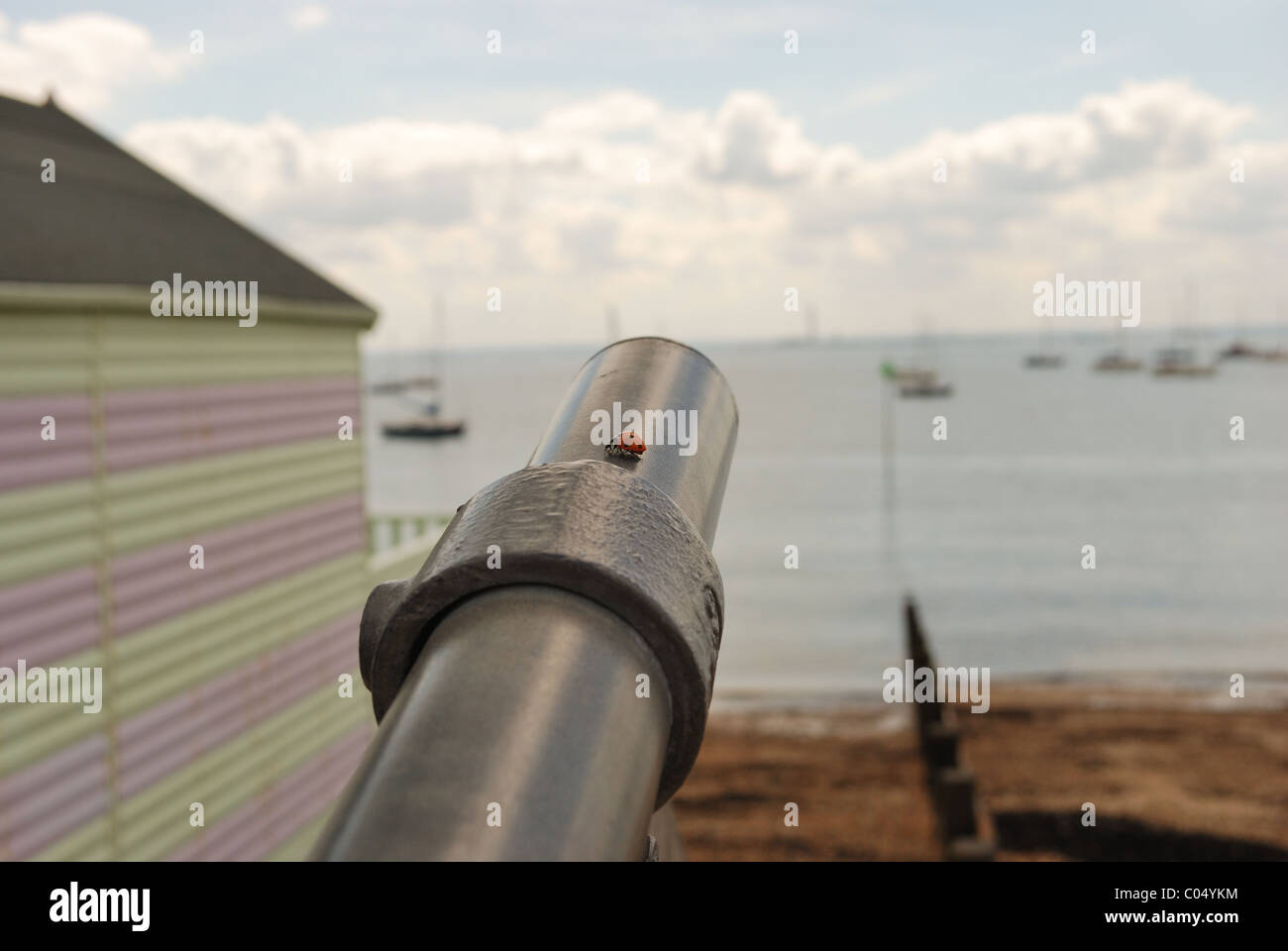 Lady Bird at the Beach, Thorpe Bay, Essex Stock Photo - Alamy
