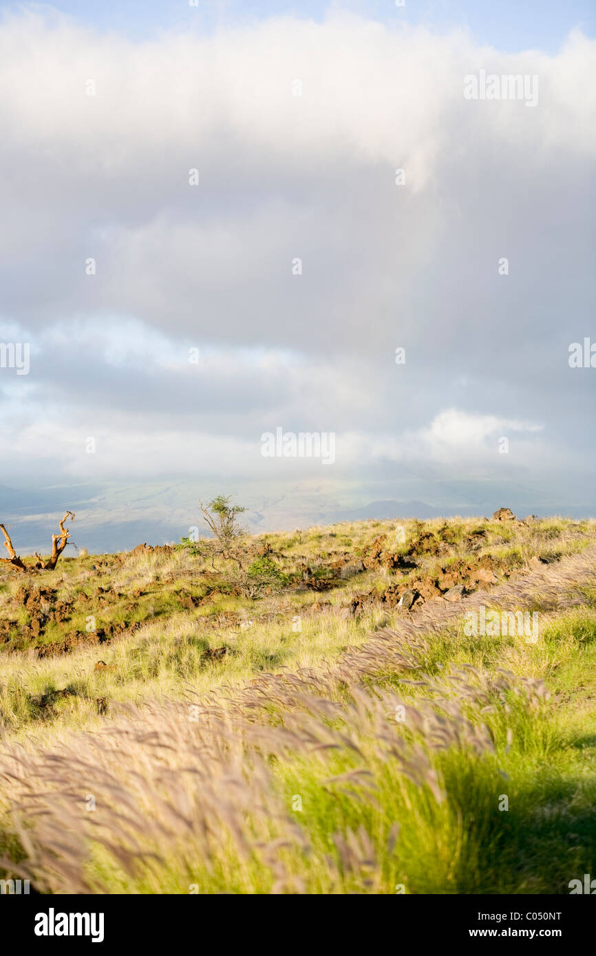 The view from Saddle Road, Hawaii Stock Photo - Alamy