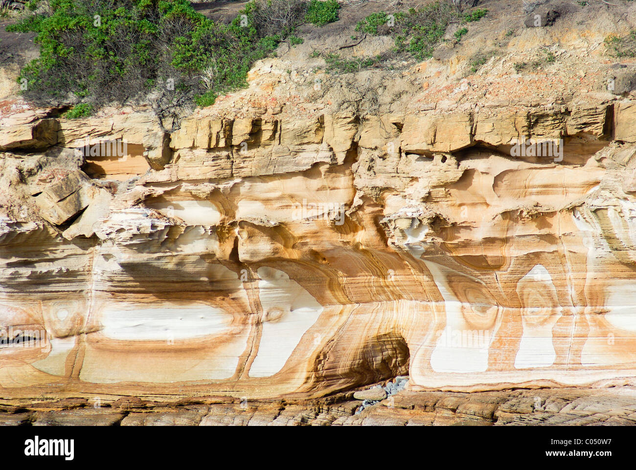 Painted Cliffs as seen from sea, Maria Island National Park, Tasmania ...