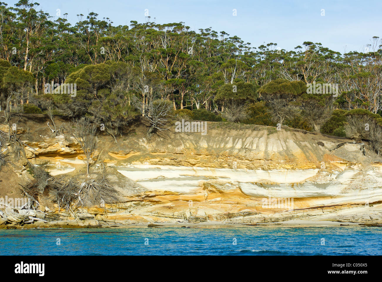 Painted Cliffs as seen from sea, Maria Island National Park, Tasmania ...