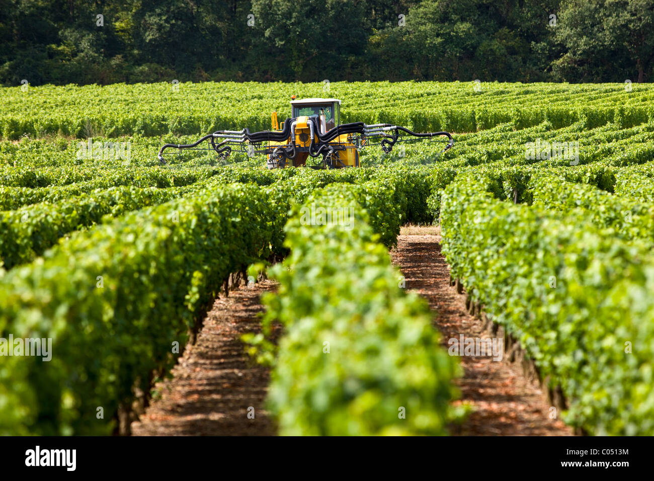 Vineyard crop spraying tractor hi-res stock photography and images - Alamy