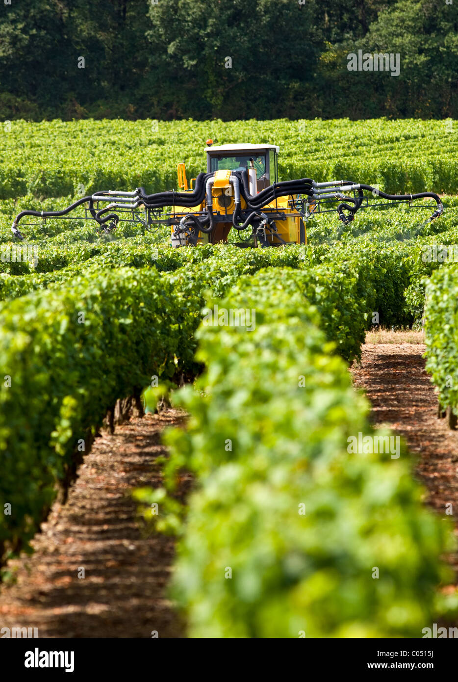 Vineyard crop spraying tractor hi-res stock photography and images - Alamy