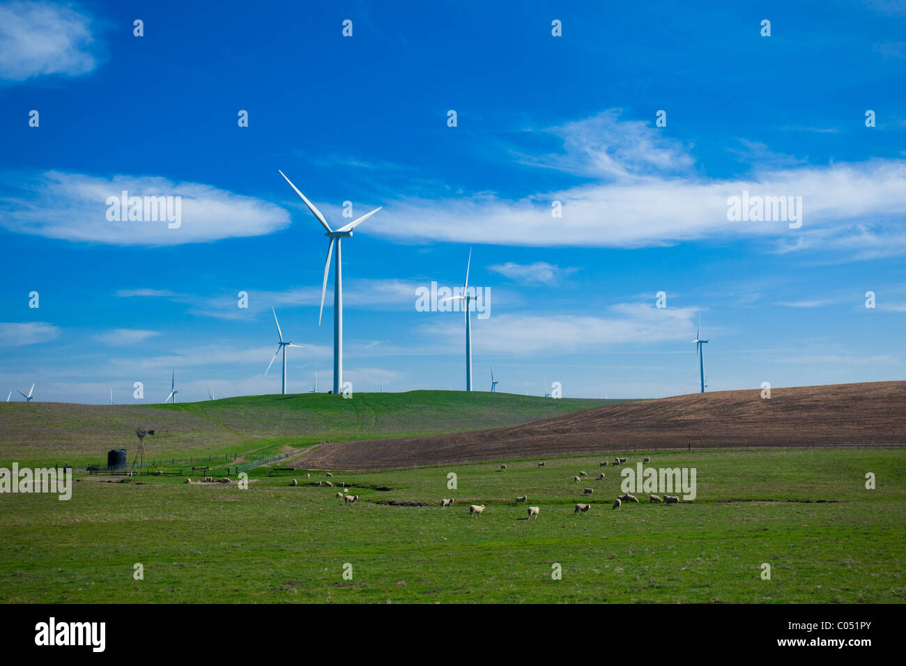 Wind Farm with Blue Sky Stock Photo - Alamy