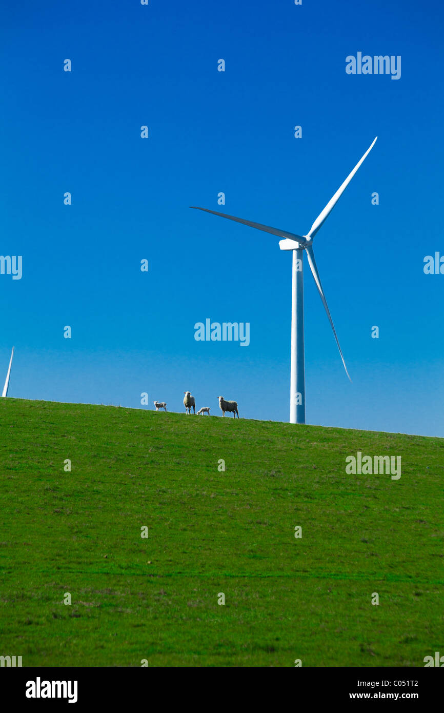 Wind Farm with Blue Sky Stock Photo - Alamy