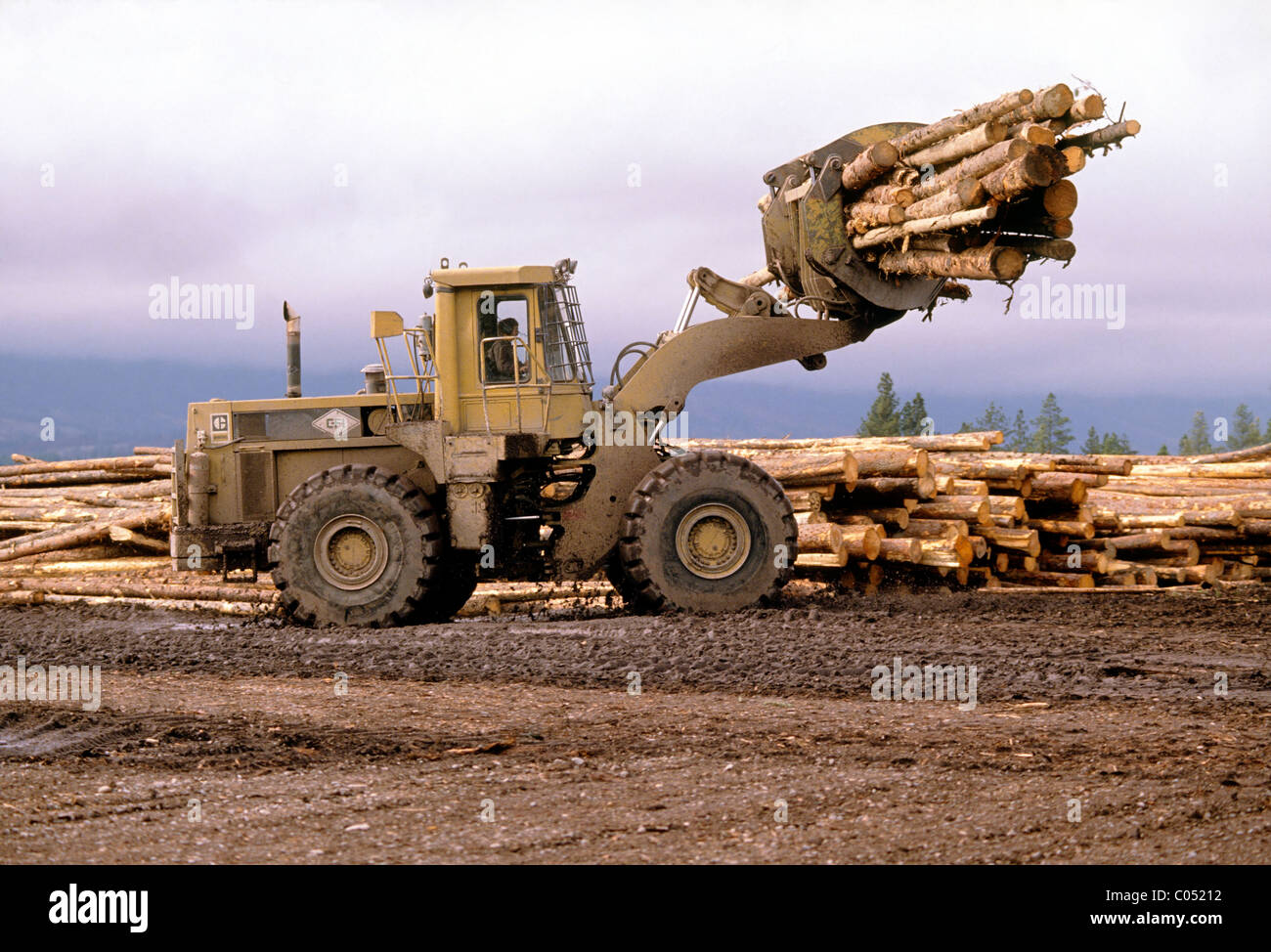 Front end loader moving logs at a pulp mill in Canal Flats, British ...