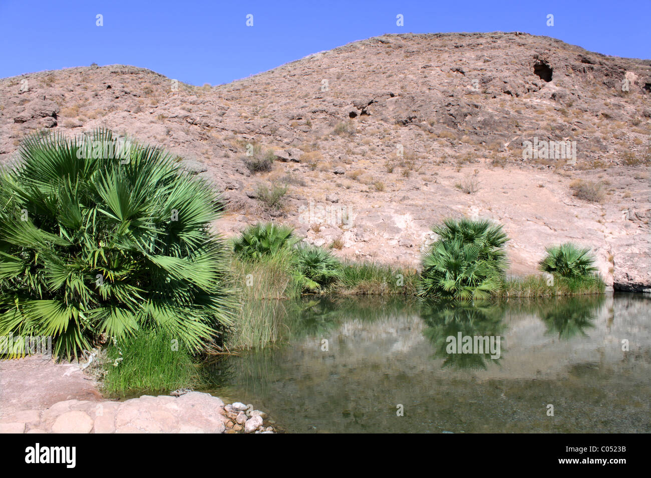 Rogers Spring - Nevada Stock Photo - Alamy