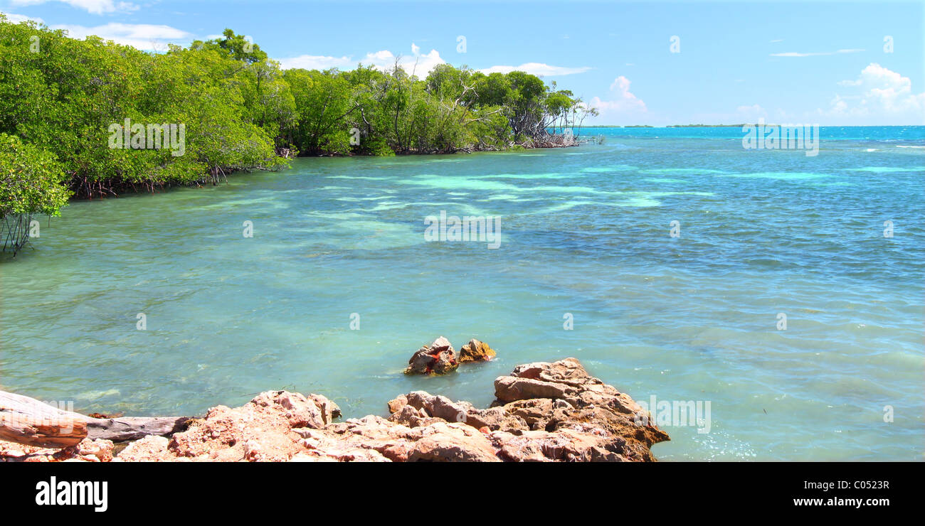 Guanica Reserve - Puerto Rico Stock Photo - Alamy