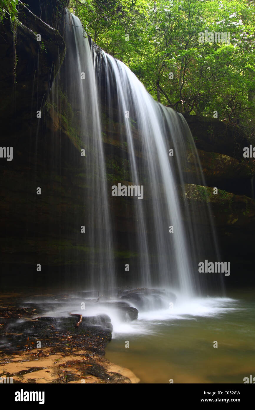 Caney Creek Falls in Alabama Stock Photo - Alamy