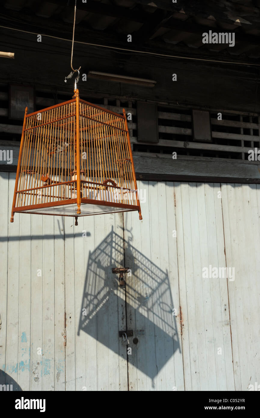 Hanging bird cage hi-res stock photography and images - Alamy
