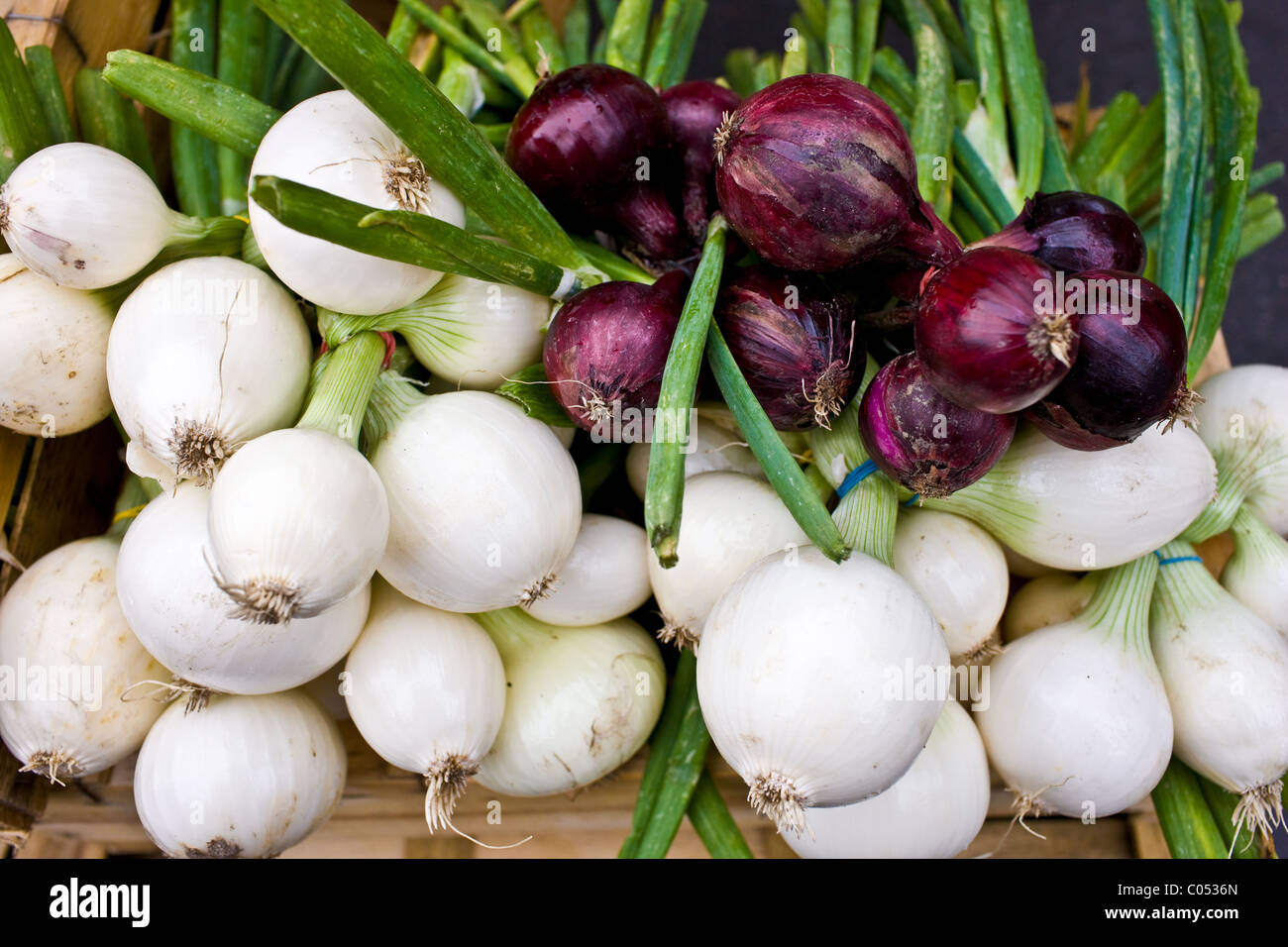 Local produce, spring onions, white and red, at farmers market in ...