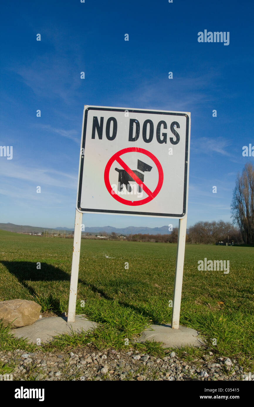 No pet sign hi-res stock photography and images - Alamy