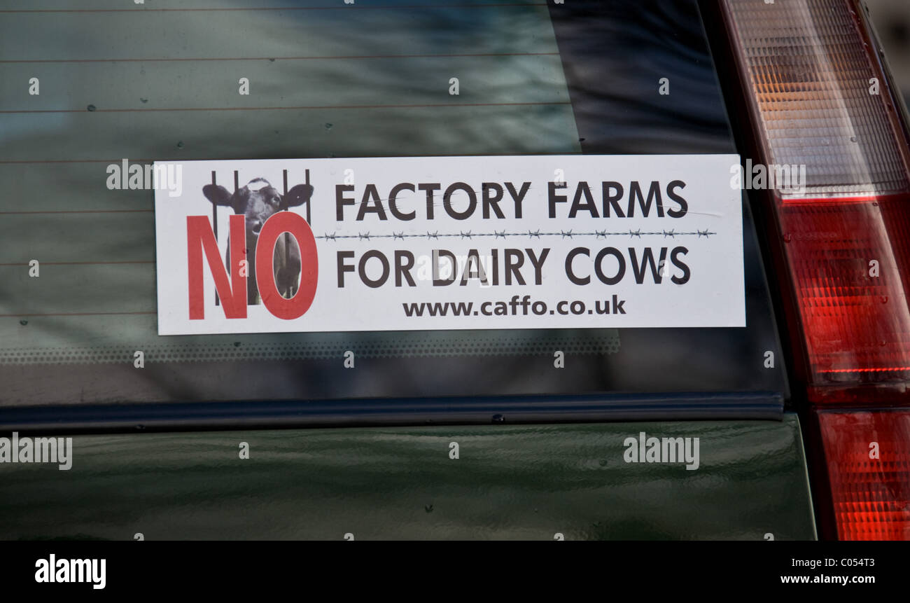 Animal rights protest hi-res stock photography and images - Alamy