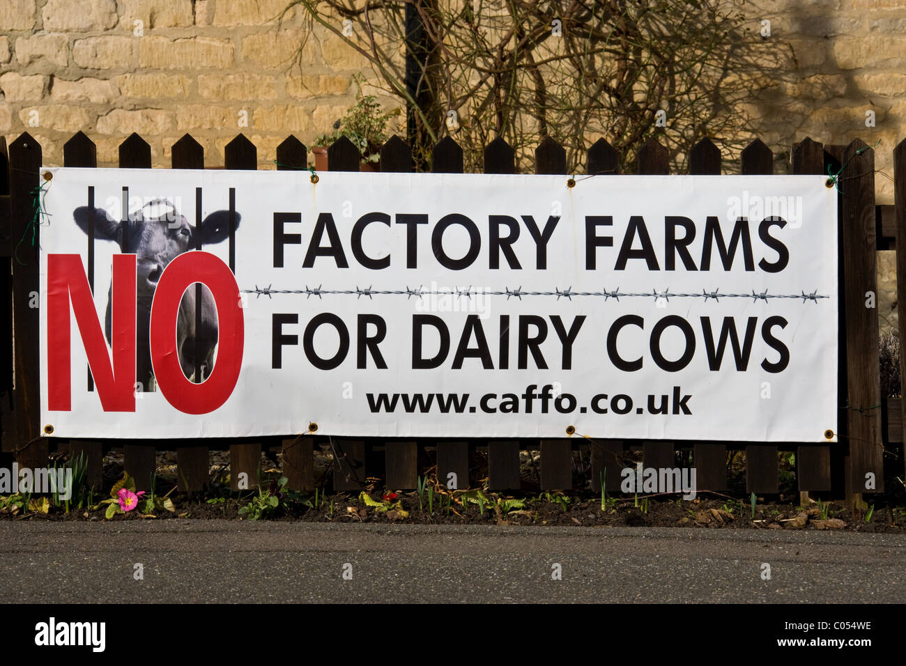 Super dairy cows hi-res stock photography and images - Alamy