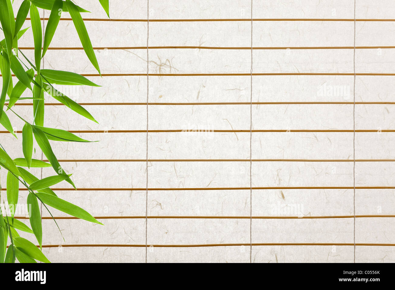 Window Covering And Bamboo Rice Paper