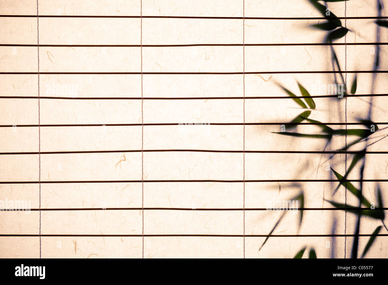 rice paper background with bamboo leaves Stock Photo - Alamy