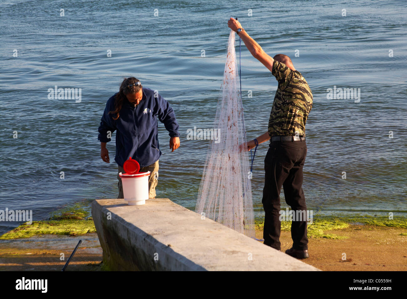 Catching Crabs High Resolution Stock Photography and Images - Alamy