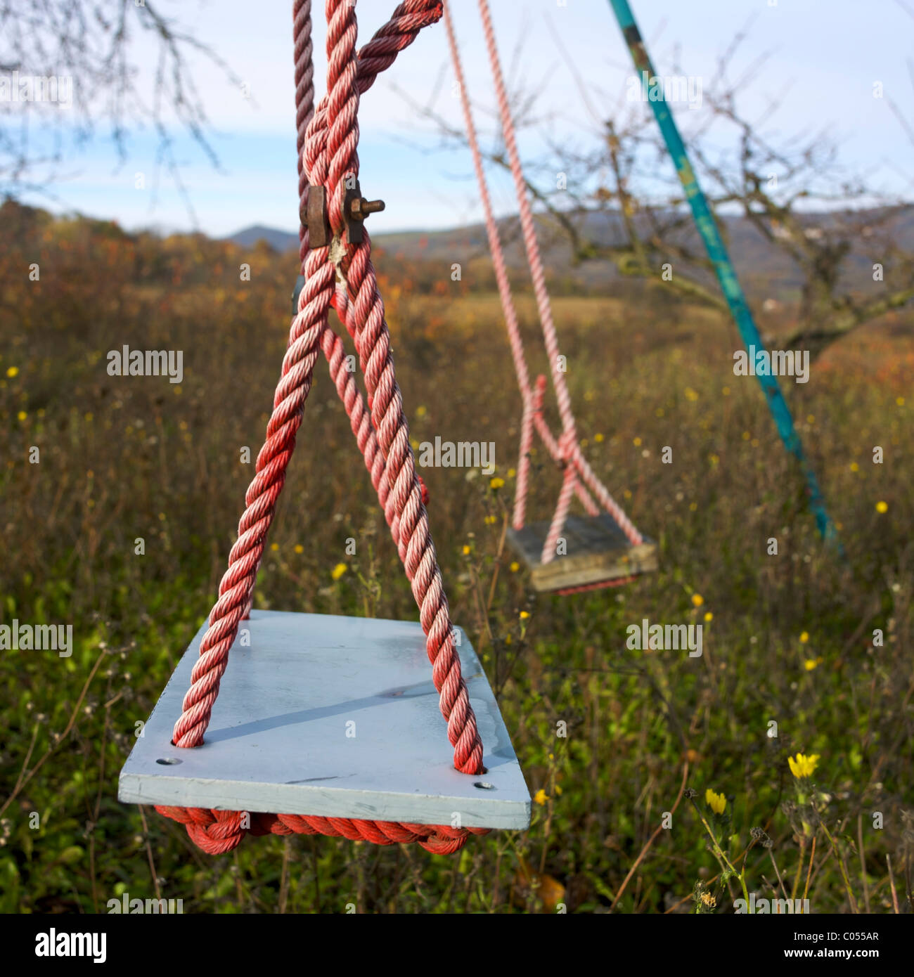 Two swings in a garden Stock Photo - Alamy