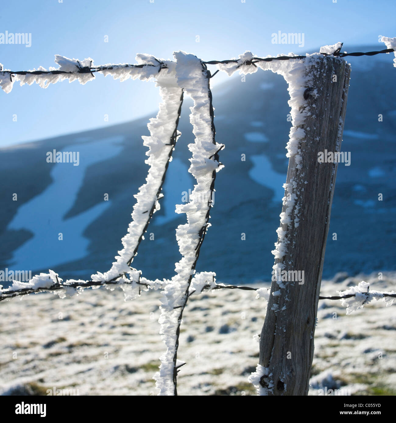 Frozen wooden fencing hi-res stock photography and images - Alamy